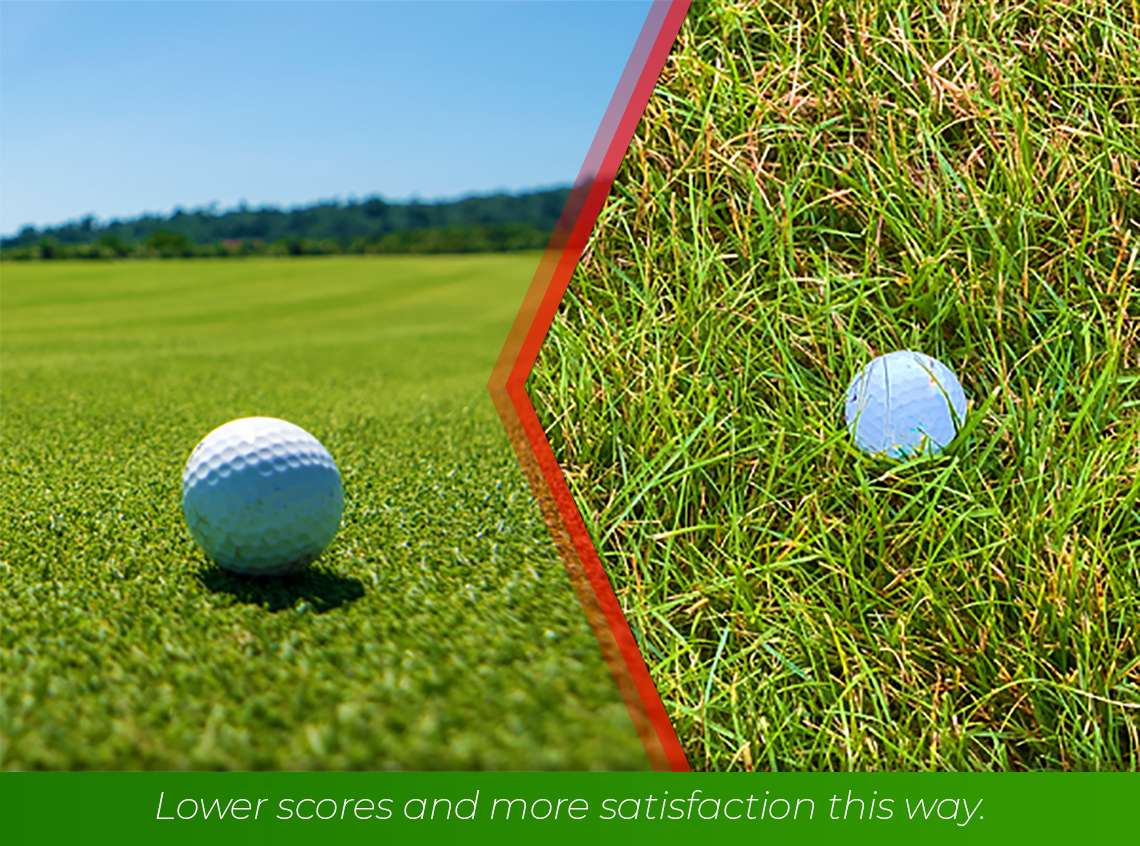 the-lake-club-benoni-fairway-to-scoring-heaven-v1